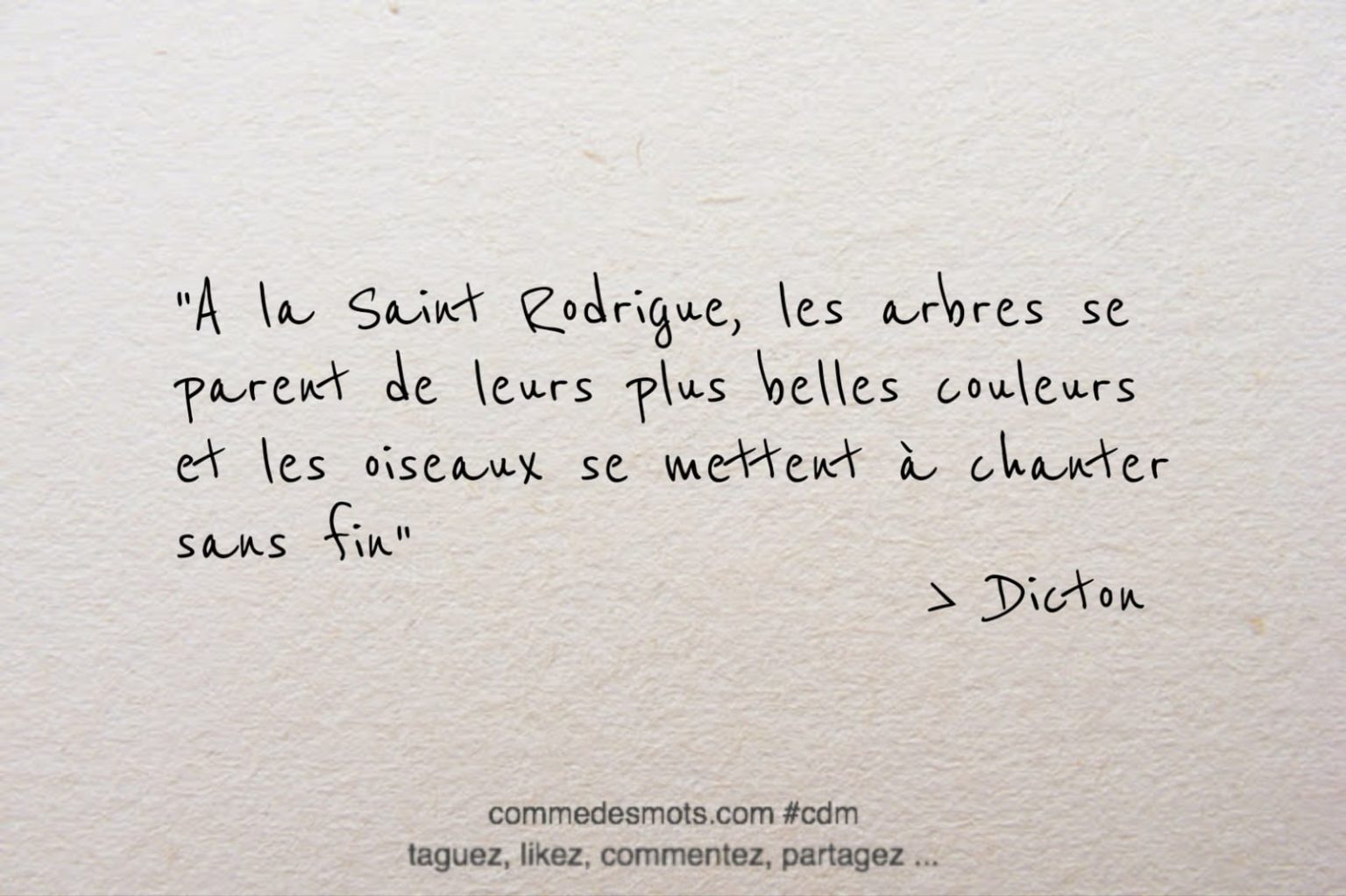 A la Saint Rodrigue, les arbres se parent de leurs plus belles couleurs ...